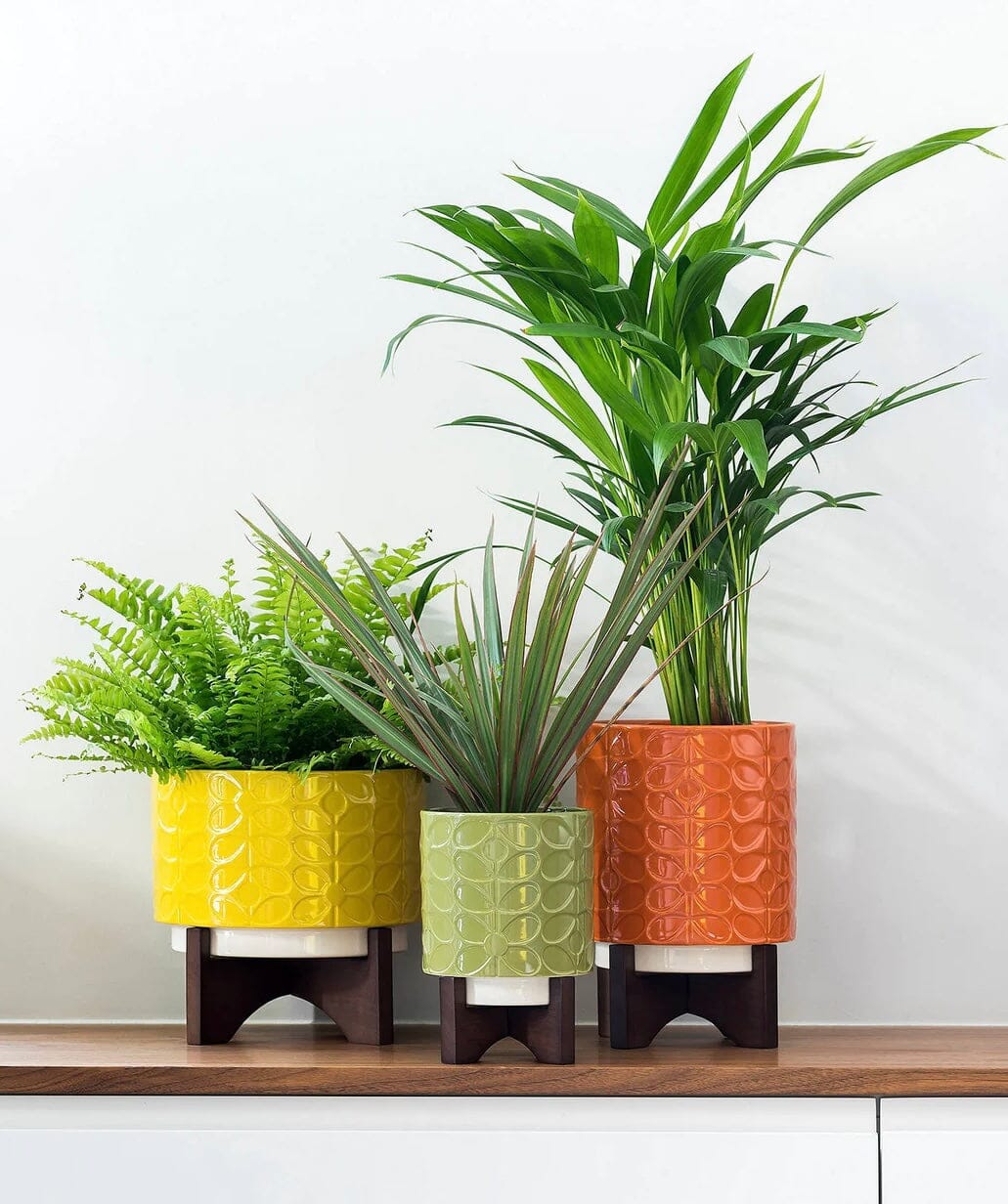 Orla Kiely Ceramic Plant Pot On Wooden Stand Sixties Stem Sky BouChic